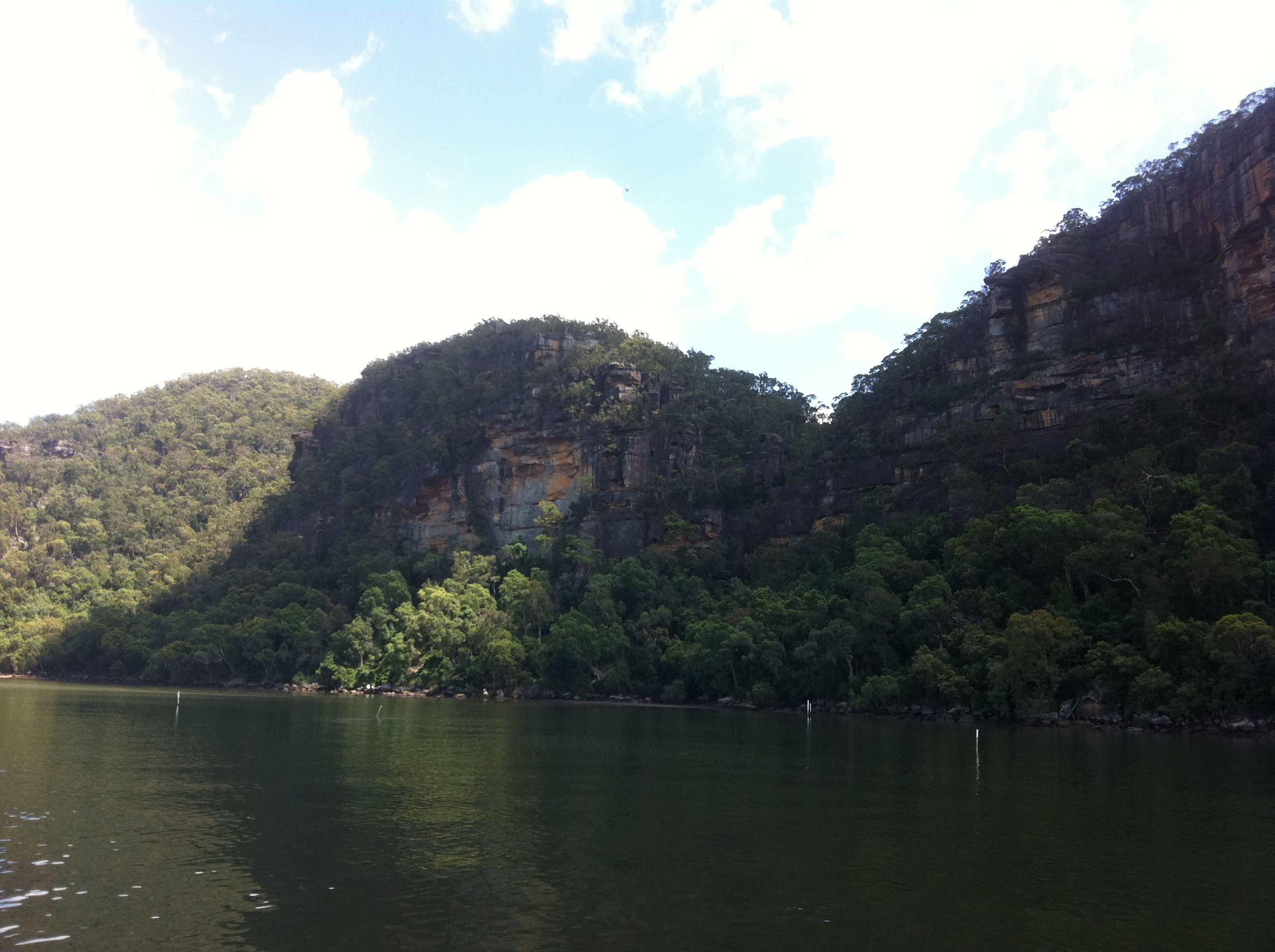 Annette Hamilton's Image Field – Photographs from a never-still life