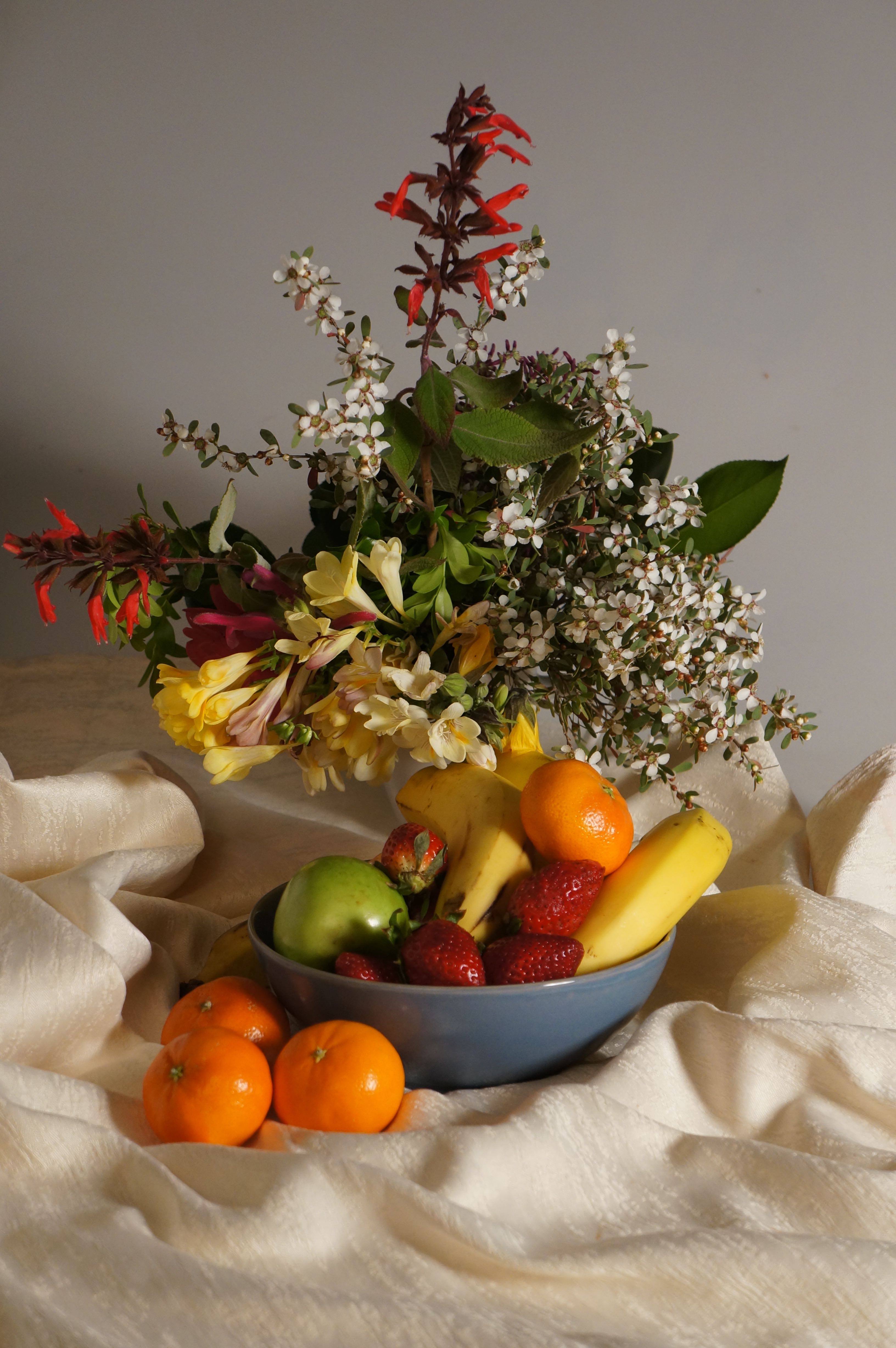 Still Life – Annette Hamilton's Image Field